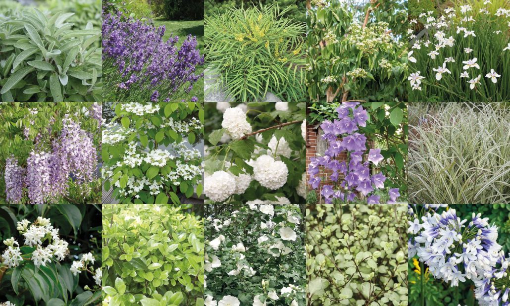 Inspiration Classique - Balcoon paysagiste - Aménagement de vos ...